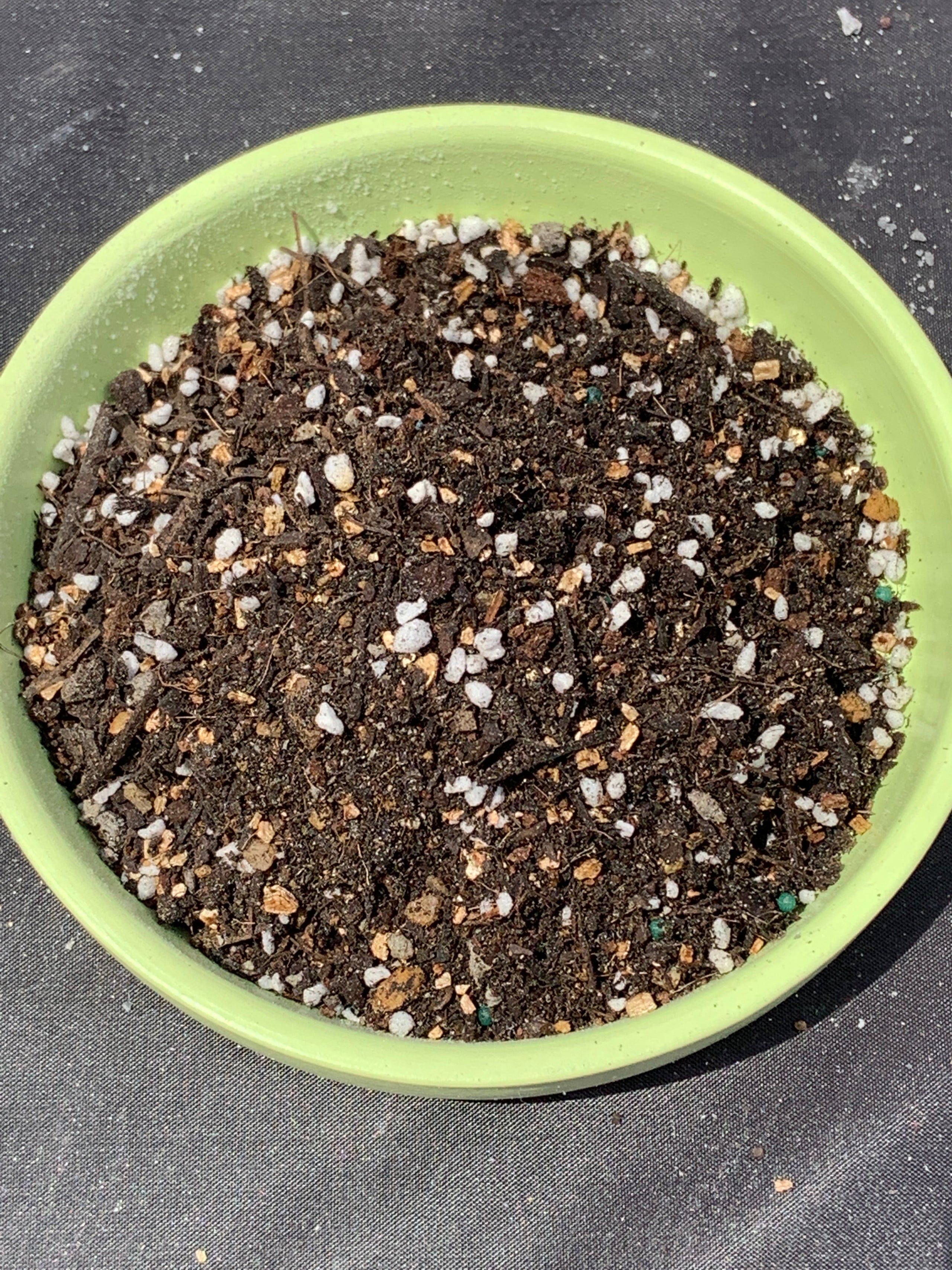 Lithops Soil Mix 3L | Hamilton's World of Cacti