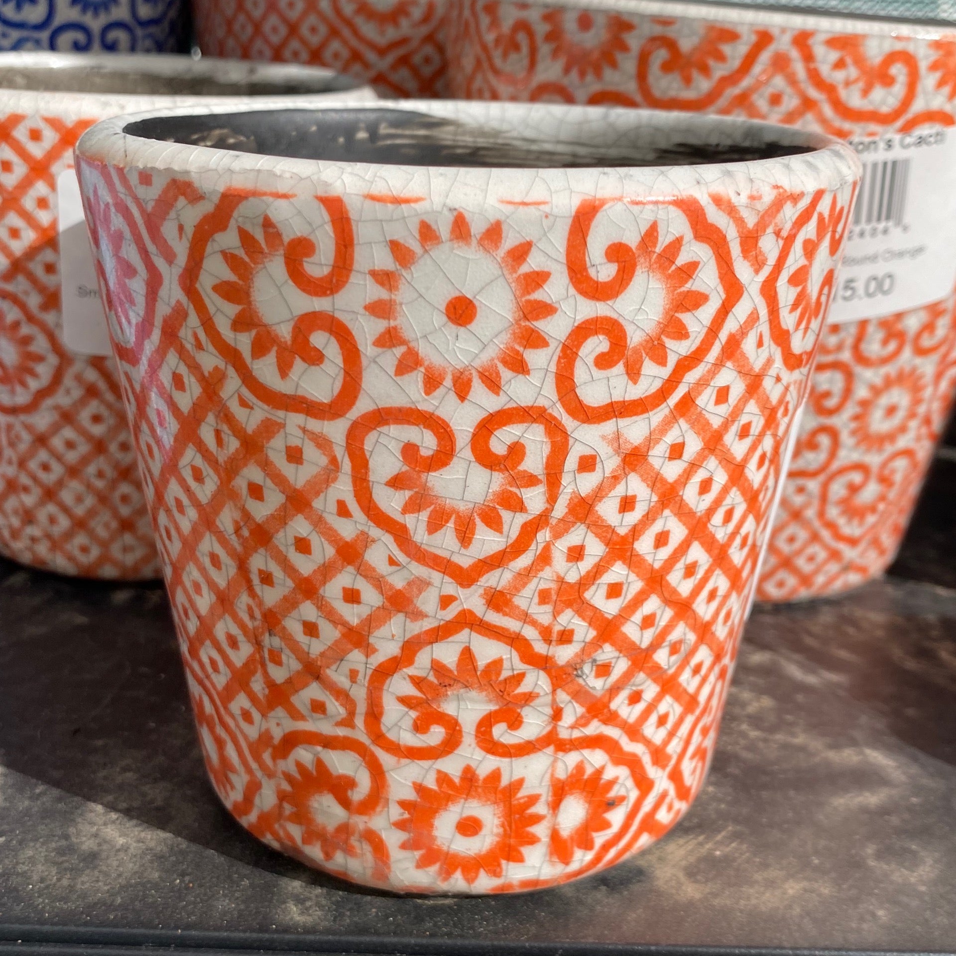 Lg Rustic Round Orange | Hamilton's World of Cacti